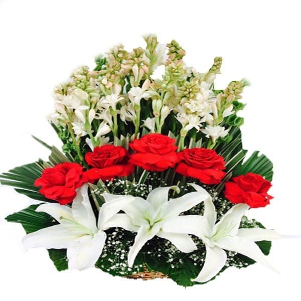 Rajnigandha Flower Pics | Best Flower Site